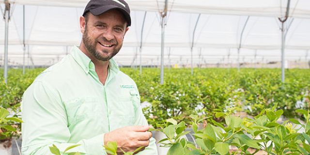 State Development, Infrastructure, Local Government and Planning